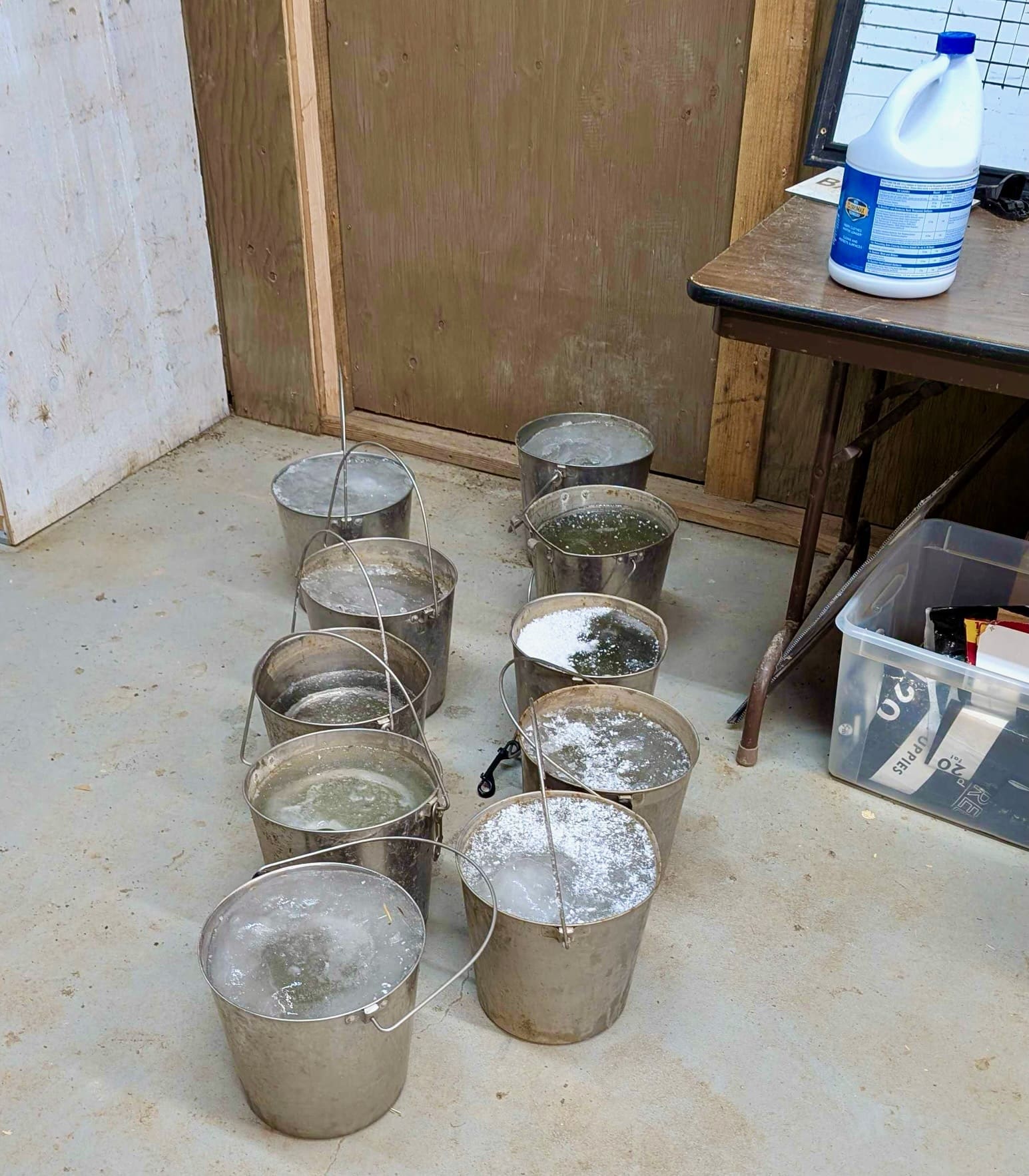 frozen_water_buckets_Sanctuary - Rescue Ranch Inc.